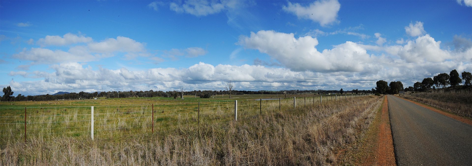 Newsome Farms Winton Nc at Dawn Wilkerson blog
